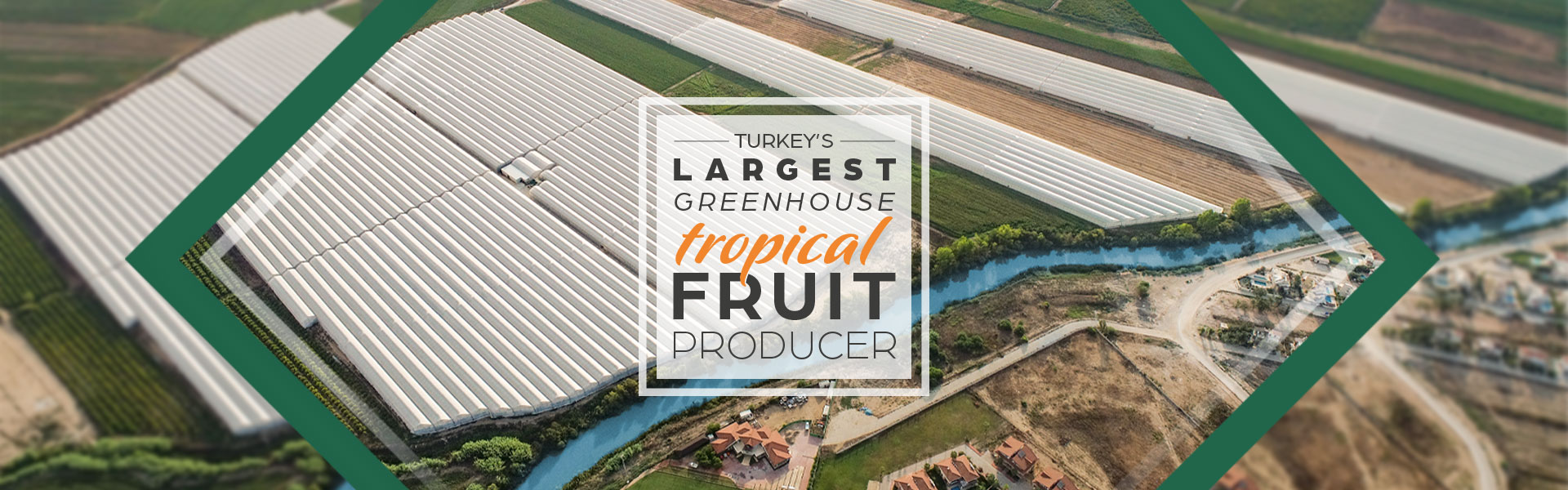 Turkey-Largest-Greenhouse-Tropical-Fruit-Producer | Dost Agriculture ...